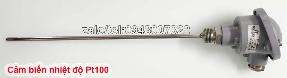 Cảm biến nhiệt độ Pt100 dài 300mm phi 6 Termotech